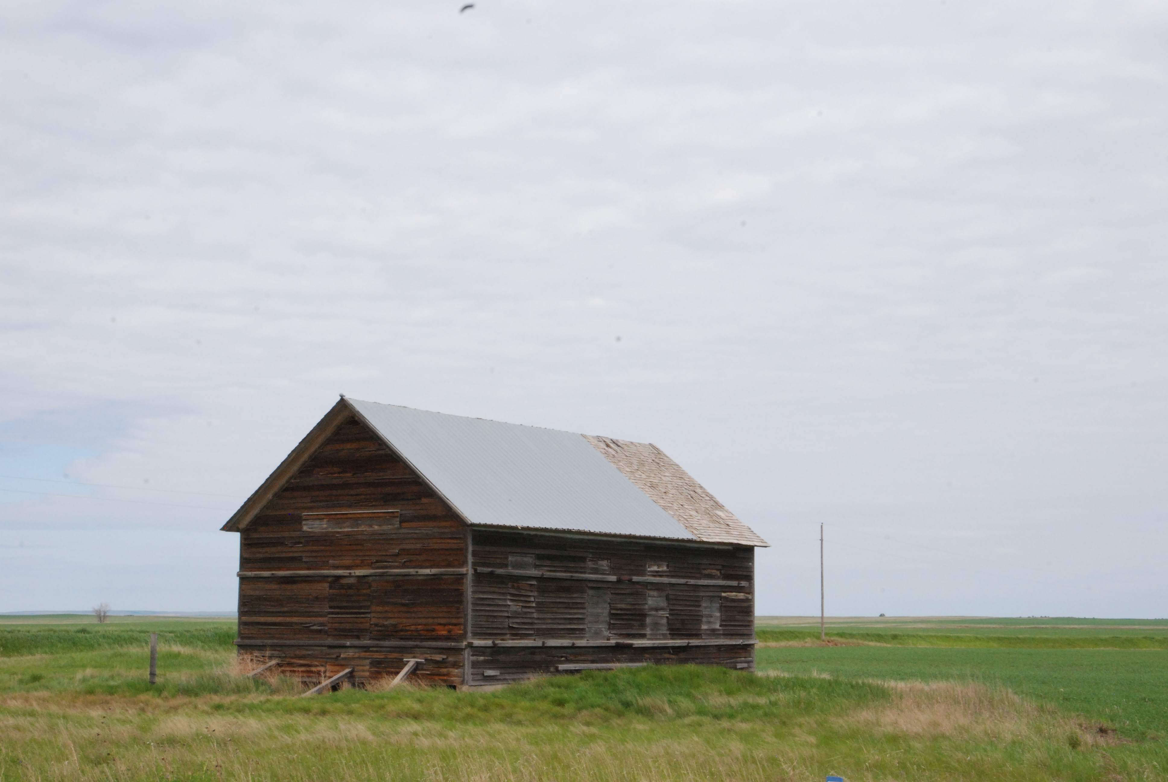Research – Debbie Becher